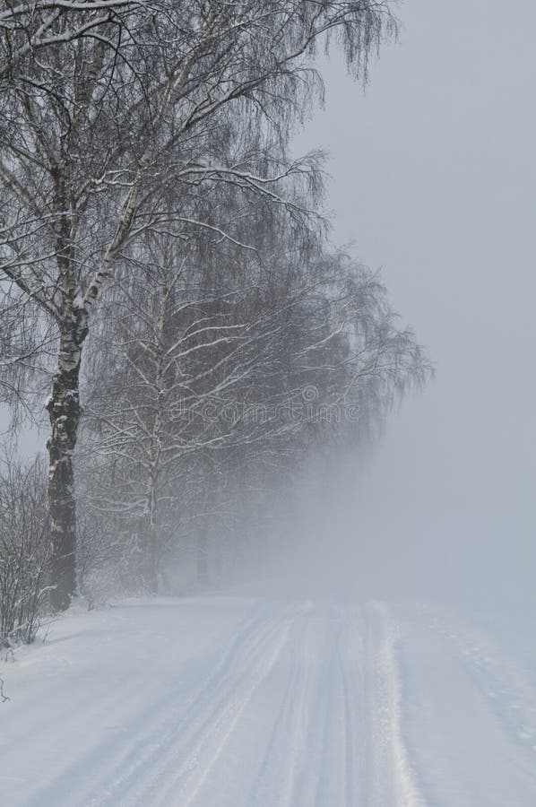 Foggy winter scenery stock photo. Image of views, snow - 12516192