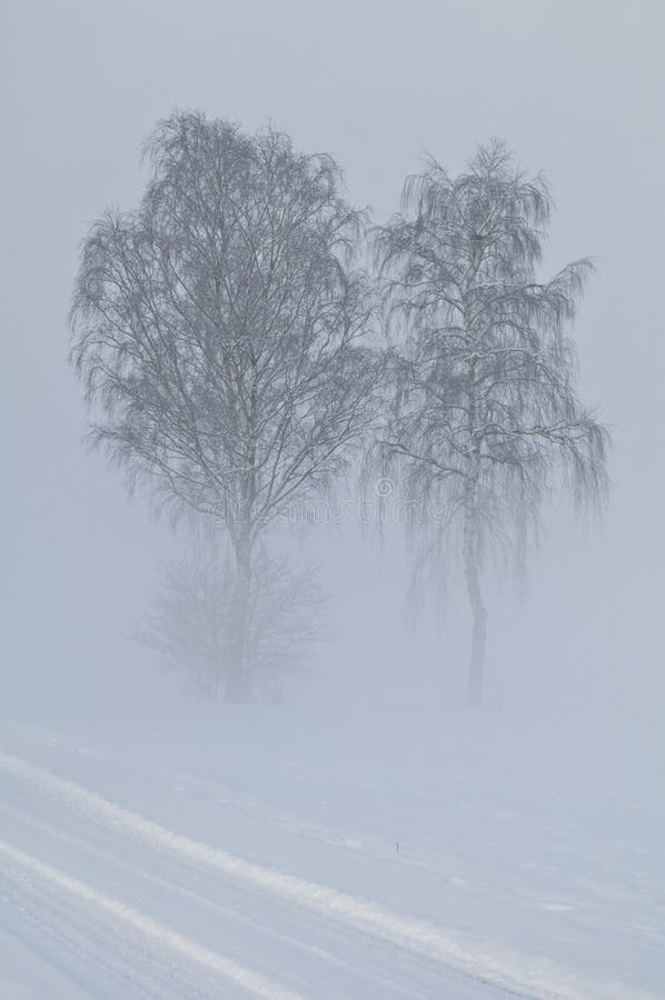 Foggy winter scenery stock photo. Image of views, snow - 12516192