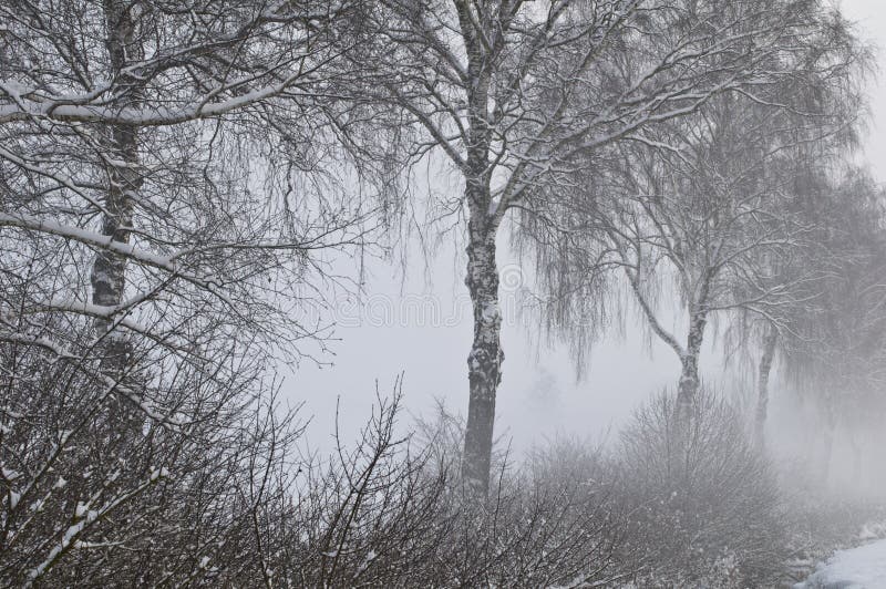 Foggy winter scenery stock photo. Image of views, snow - 12516192