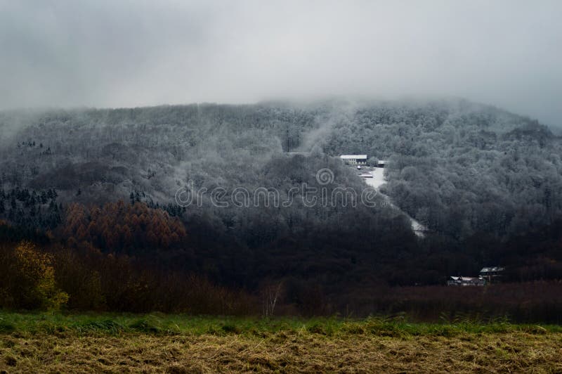 Foggy Winter Snowy Mountain with Green Stock Photo - Image of hill ...