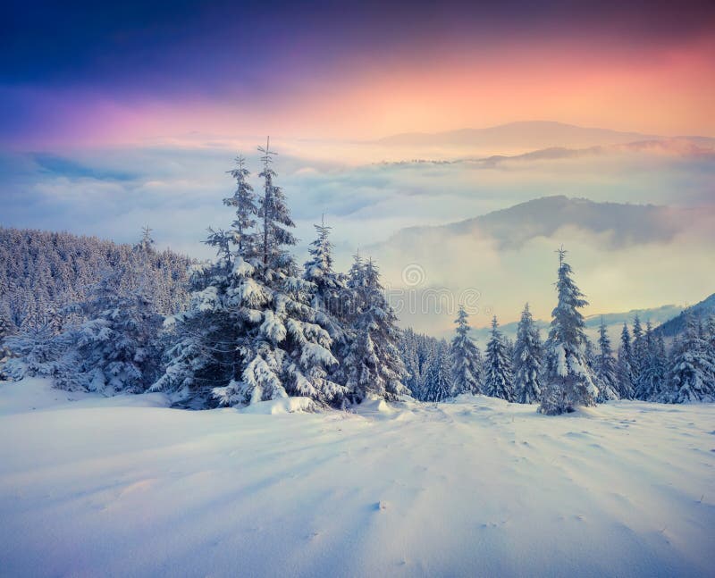 Foggy Winter Morning in Mountains Stock Image - Image of cold, color ...