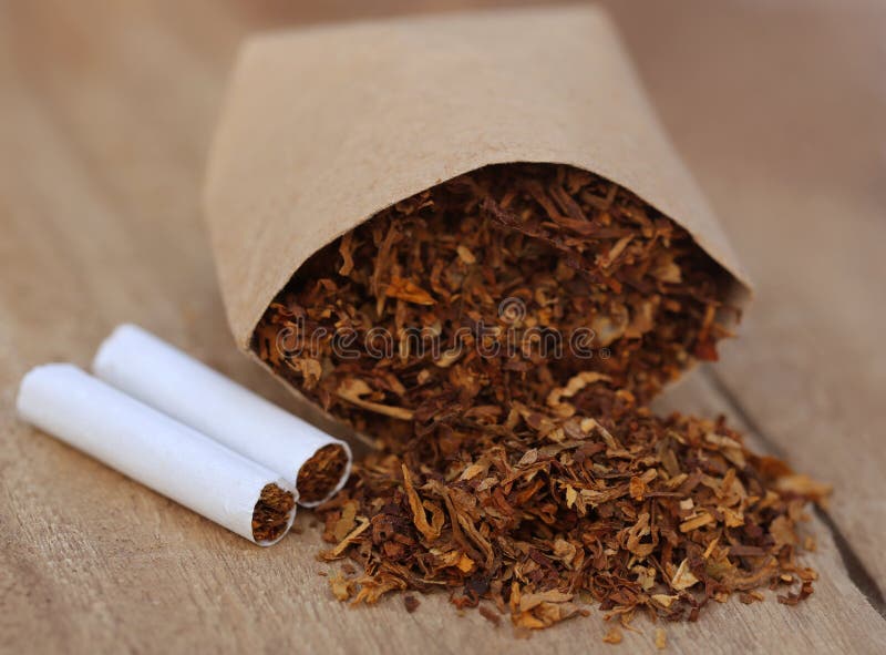 Foglie Secche Del Tabacco Con La Sigaretta Fotografia Stock - Immagine ... Foglie Secche Del Tabacco Con La Sigaretta Fotografia Stock - Immagine ...