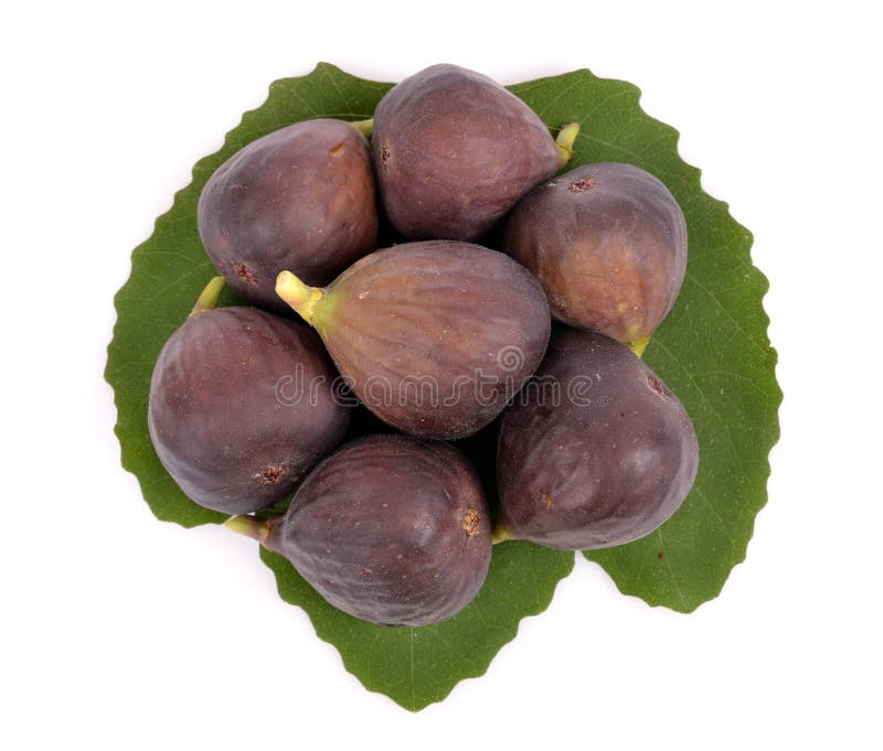 Foglio Di Fico Verde Maturo Squisito Immagine Stock - Immagine di rosso ...