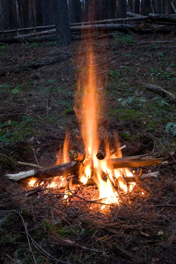 Fogueira imagem de stock. Imagem de acampamento, registro - 11907427