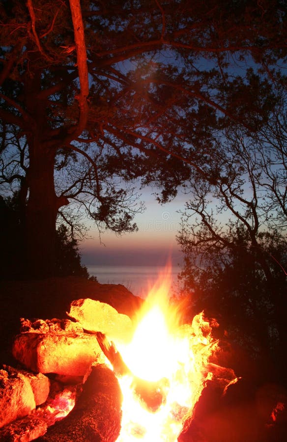 Fogueira foto de stock. Imagem de quente, lenha, lazer - 4781448