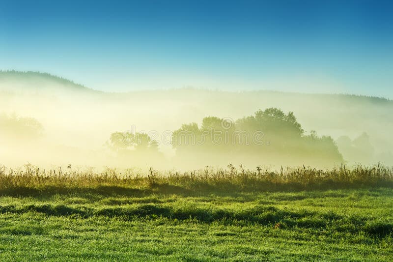 Fogy morning stock photo. Image of brown, white, fall - 21406058