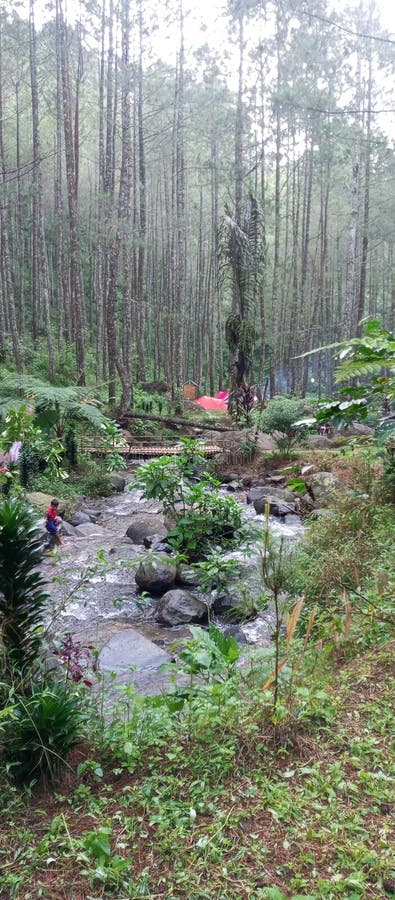 Fogy river side stock image. Image of river, people - 332321397