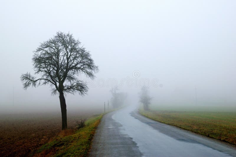 Fogy road stock image. Image of season, weather, road - 69261079