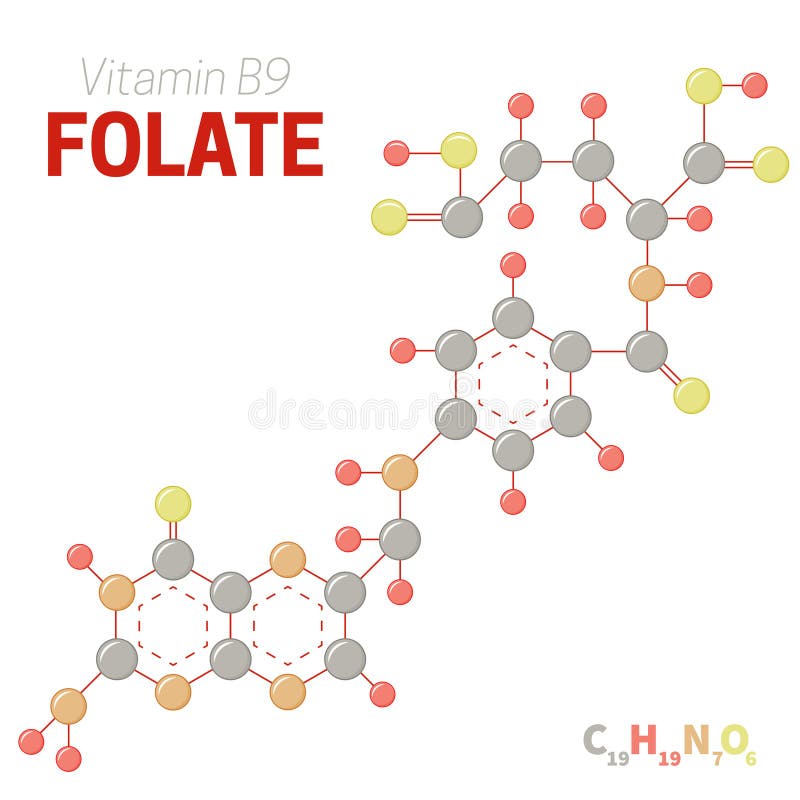 Folate or Vitamin B9 Molecule Structure Formula Illustration Stock ...