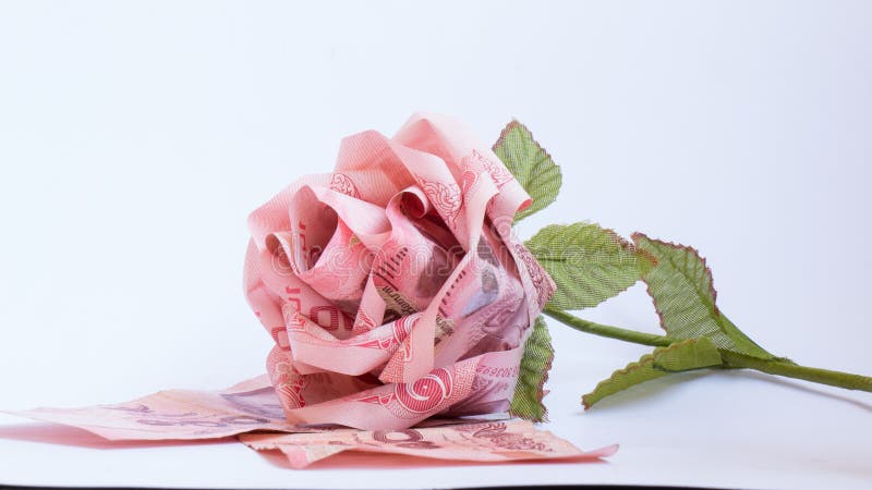 Rose, banknotes and coins stock image. Image of earnings - 41987257