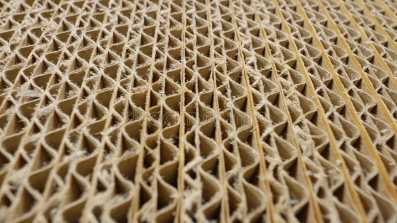 Folded carton boxes stock footage. Video of industry - 327688130