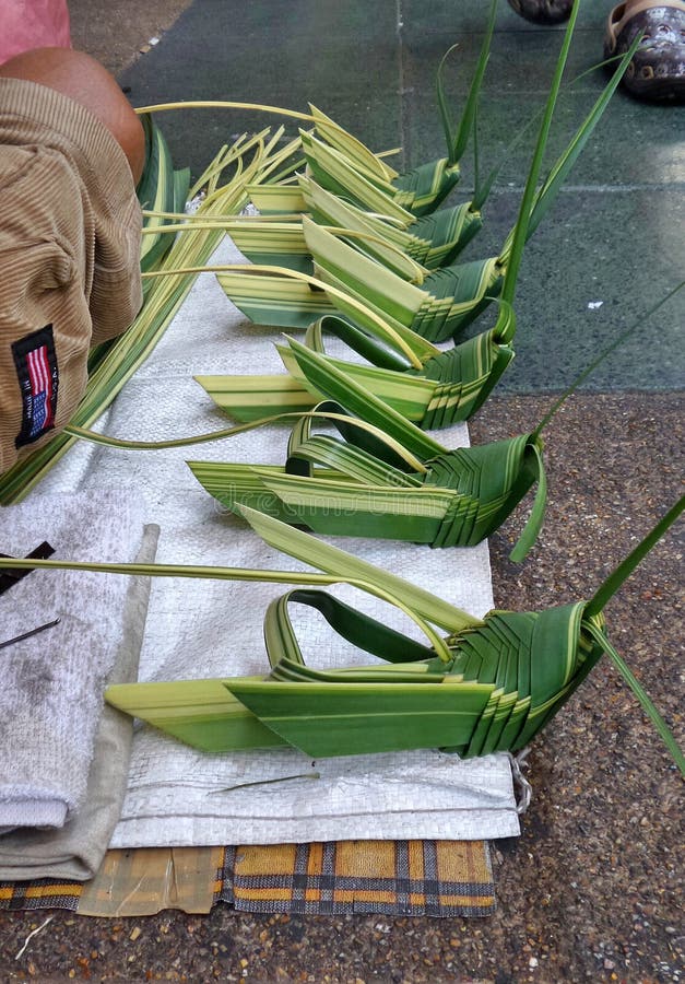 Folded grasshopper stock image. Image of coconut, palm - 50892183