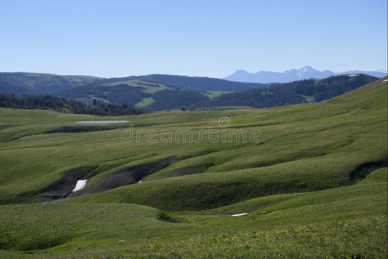 Folded Hills in the Gravelly Range Stock Photo - Image of meadow, range ...