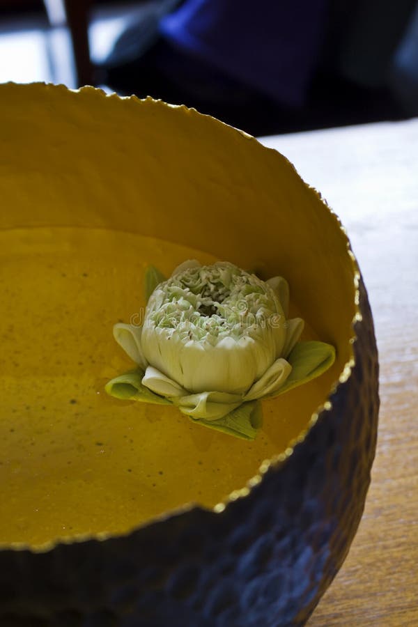 333 Fold Lotus Flower Stock Photos - Free & Royalty-Free Stock Photos ...