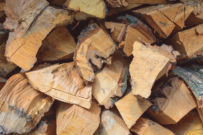 Folded Sawn Trunks of Trees with Bark Stock Image - Image of aging ...