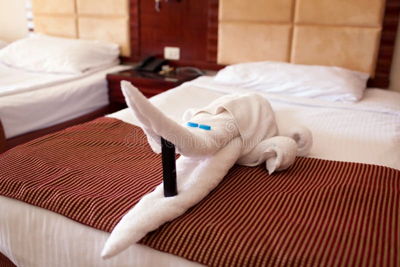 Folded Towel in Shape of Crocodile Left on Bed. Creative Hotel Stuff ...