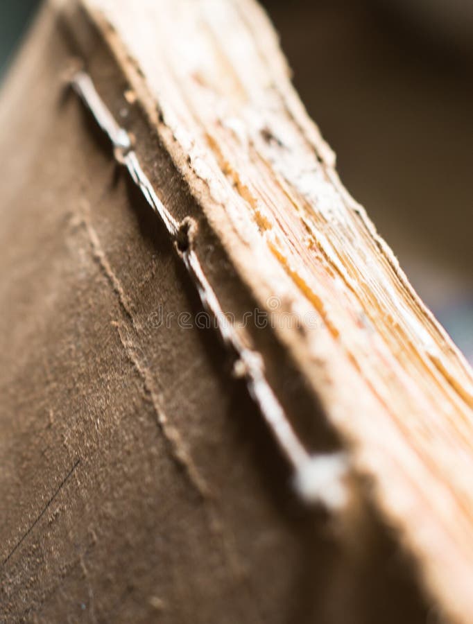 The Folder with Old Paper Documents in the Archive Stock Photo - Image ...