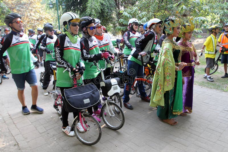 Folding bike editorial stock photo. Image of java, plant - 60996248