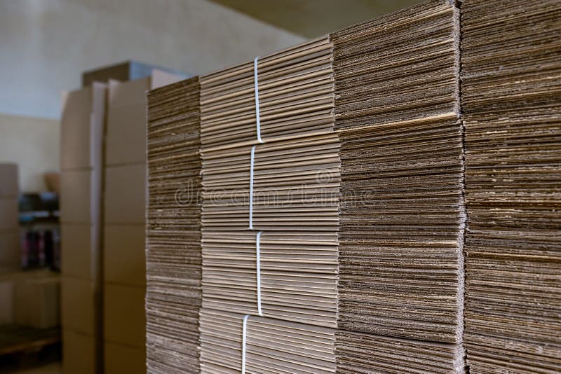 Cardboard with Perforated Lines Stock Image - Image of paper, high ...