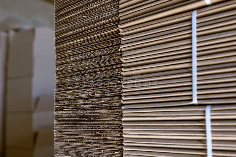 Cardboard with Perforated Lines Stock Image - Image of paper, high ...