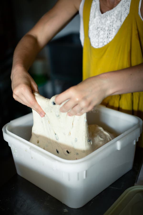Folding the Dough in a Container in a Bakery Stock Image - Image of ...