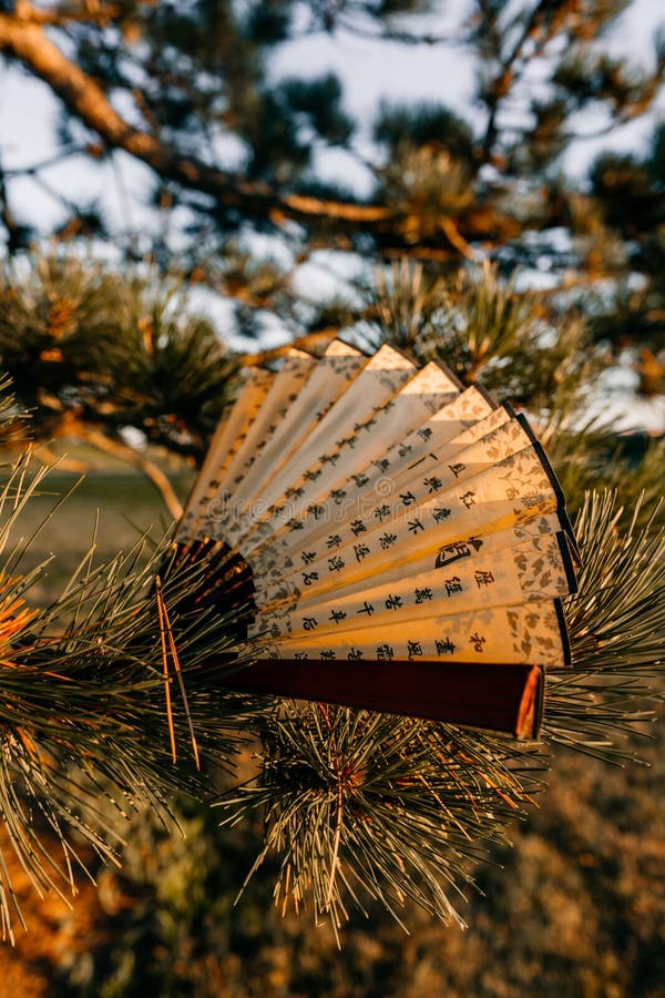 Folding Hand Fan Chinese on Grass Field at Sunset Stock Photo - Image ...