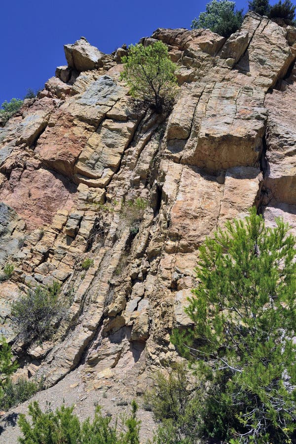 Olorda Stock Photos - Free & Royalty-Free Stock Photos from Dreamstime