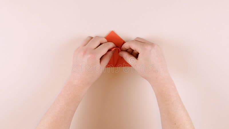 Folding origami bat stock video. Video of figure, origami - 258490773