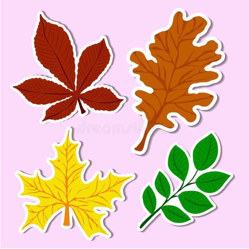 Folha de simples ilustração do vetor. Ilustração de fofofo - 133328552