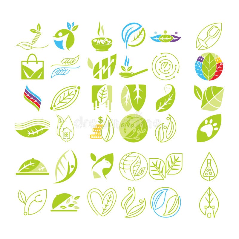 Folha Logo Design Vetora Template Set Ilustração do Vetor - Ilustração ...