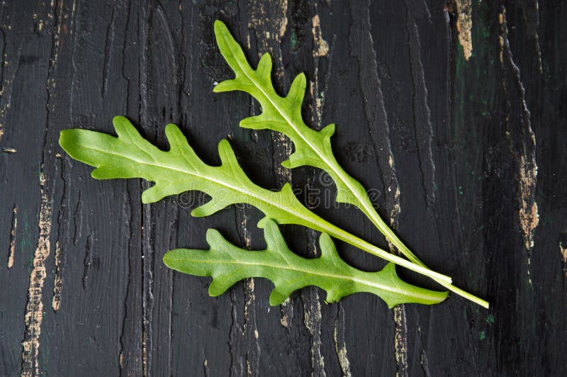 Folhas Do Verde Da Planta De Rucola Em Uma Tabela Imagem de Stock ...
