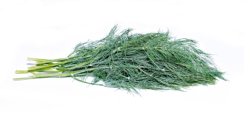 Folhas Do Verde De Plantas Da Erva-doce Foto de Stock - Imagem de ...