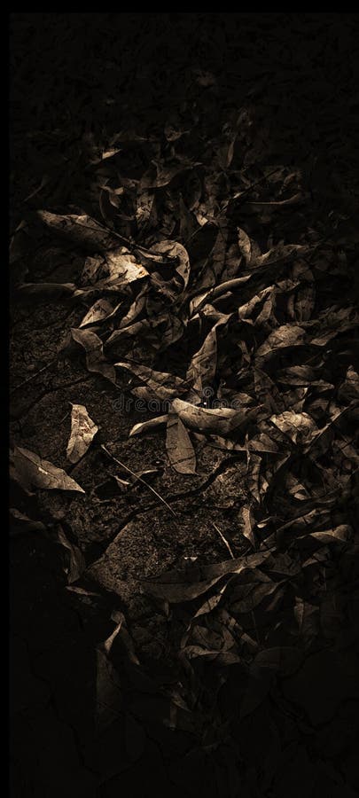 The Autumnal Leaves Had Fallen All Thru the Way Stock Image - Image of ...