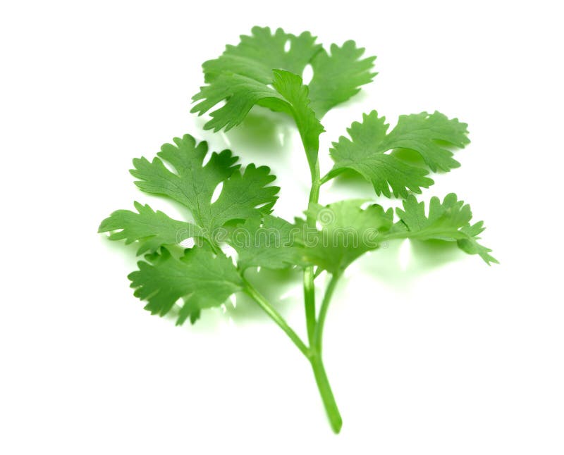 Folha Da Salada Alface Isolada No Fundo Branco Foto de Stock - Imagem ...