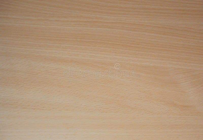 Folheado Da Faia Da Textura Foto de Stock - Imagem de folheado, madeira ...