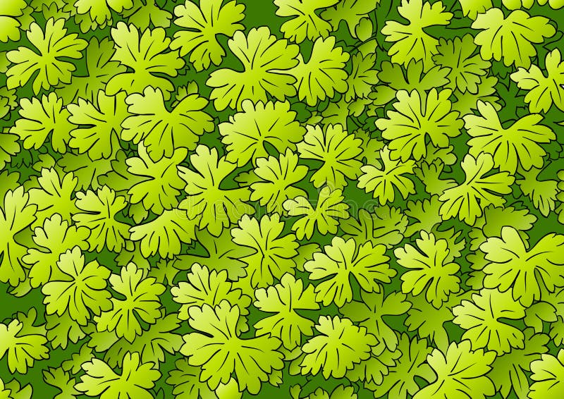 Foliage stock vector. Illustration of freshness, ecology - 15813179