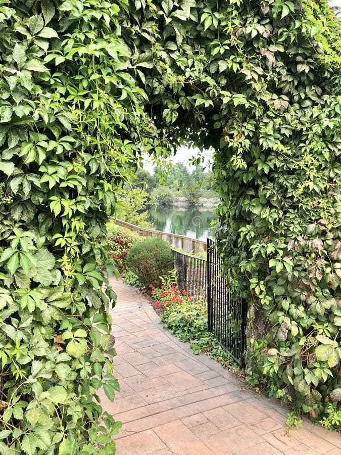 Foliage Archway with View of the River Stock Photo - Image of leaf ...