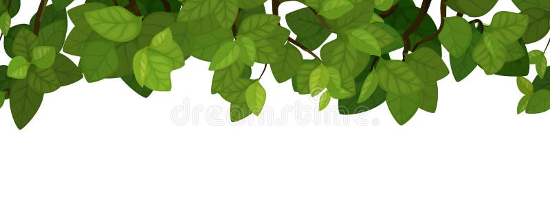 Foliage Background, Foliage of Trees. Background with Foliage for Your ...