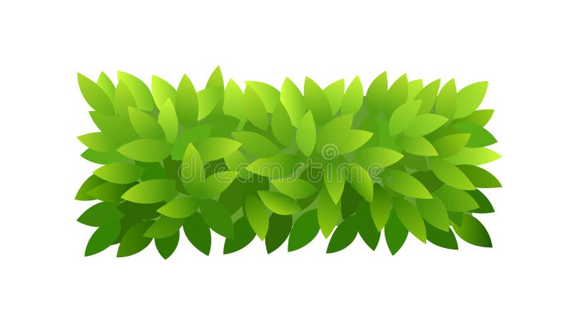 Foliage Bush of Green Leaves. Horizontal Rectangular Short Banner ...
