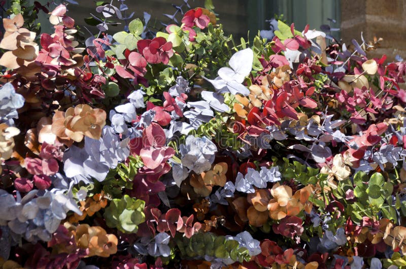 Foliage stock photo. Image of decoration, colorful, dried - 89782688