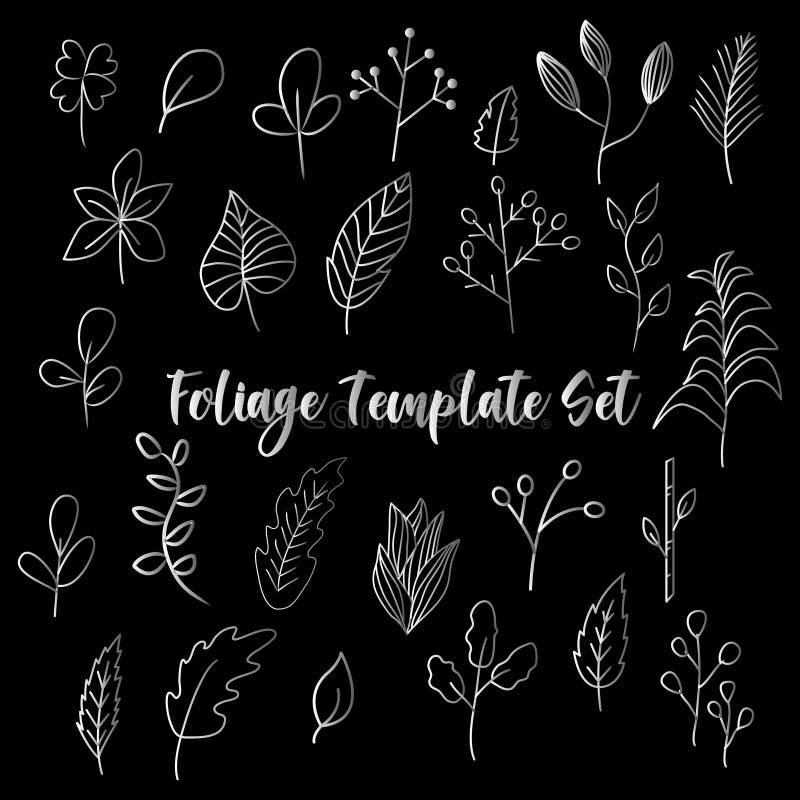 Foliage Doodle Template, Foliage Simple Vector, Nature and Flower Stock ...