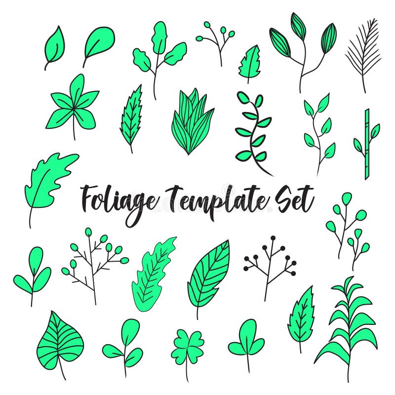 Foliage Doodle Template, Foliage Simple Vector, Nature and Flower Stock ...