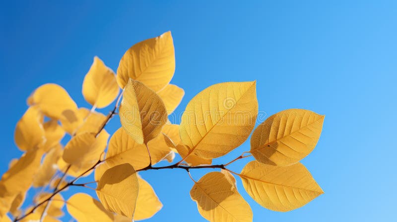 Foliage Fall Leaves Texture Stock Illustration - Illustration of ...