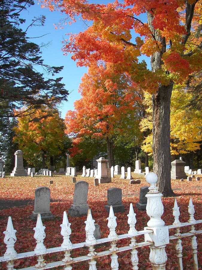Foliage in Graveyard stock image. Image of graveyard - 10779353