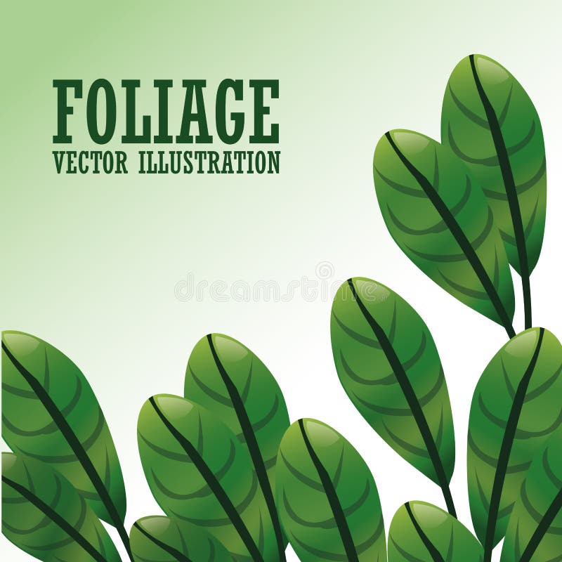 Foliage icon design stock vector. Illustration of branch - 68271090