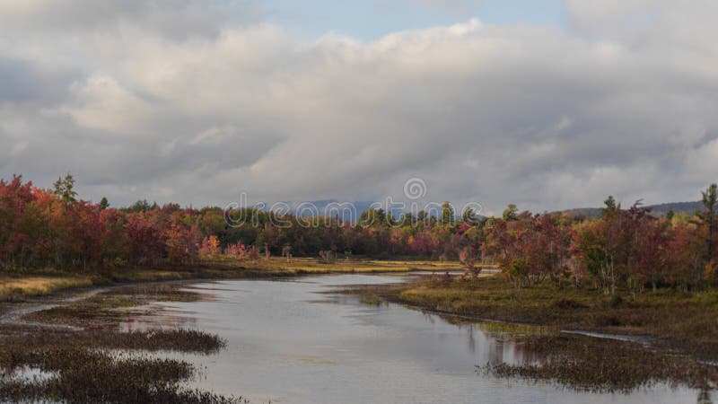 Foliage Inlet stock image. Image of landscape, natural - 110043419