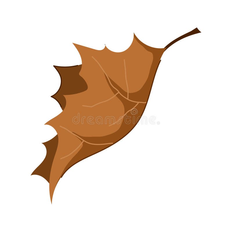 Foliage Maple Leaf Cartoon Vector Illustration Stock Vector