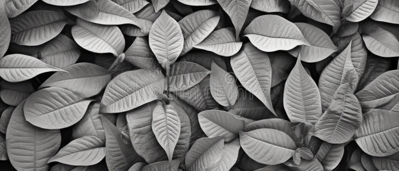 Foliage Material Structure Background Stock Photo - Image of desktop ...
