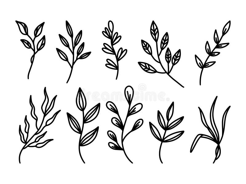 Foliage Outline Decorations, Hand Drawn Leaves. Set Natural Line Doodle ...