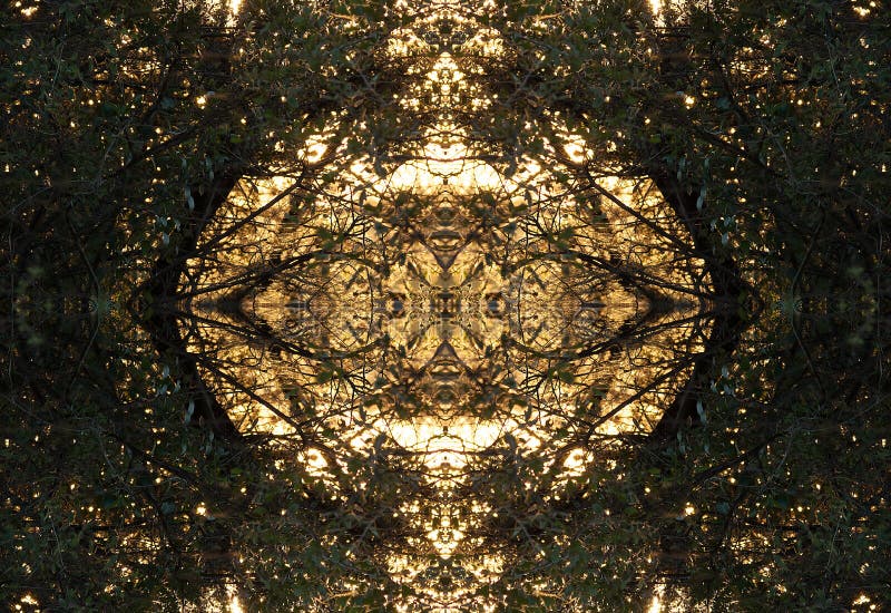 Foliage repetition pattern stock photo. Image of wallpaper - 94253380